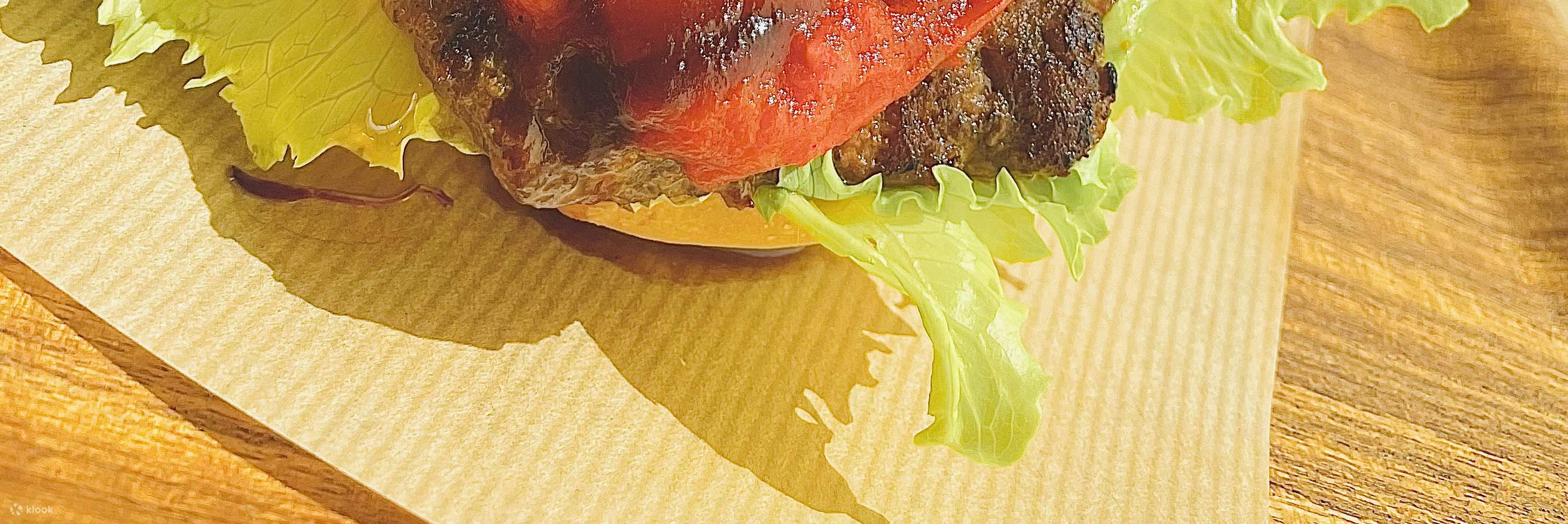 [Depart from Kumamoto] Amakusa Wild Dolphin Watching and Juicy Burger ...